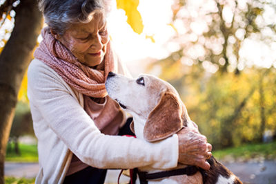 Benefits of Pet Therapy Visits for Seniors | How to Get a Therapy Pet ...
